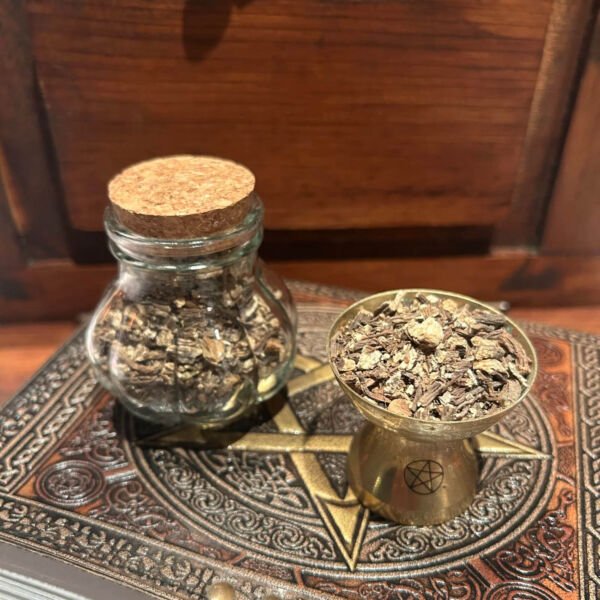 Angelica Root - Temple of the Divine