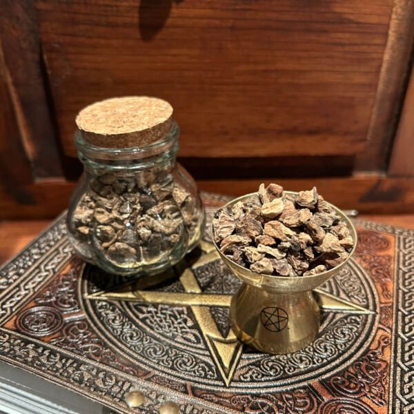 Devils Claw Root - Temple of the Divine